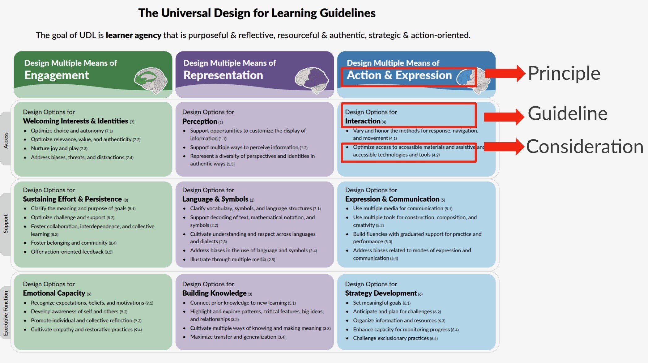 What are the UDL Guidelines?
